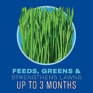 BioAdvanced 5 In 1 Weed and Feed, Granules, 9.6LB