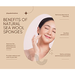 Facial Sea Wool Sponge 2-3" (3) Pack by Spa Destinations