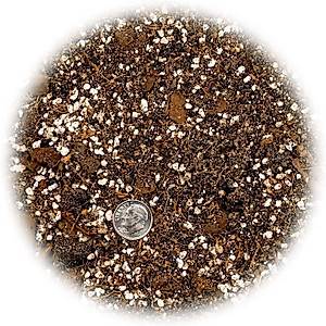 Gardenera Organic Banana Tree Soil Blend - 1 Quart - Nutrient-Dense Mix for Robust Growth and Sweet, Juicy Bananas - Crafted with Care for Exceptional Results