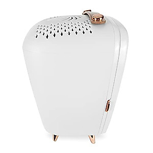 Splendora 6L Makeup & Skincare Fridge w/Light Up Mirror Free Ice Roller (6 Liter's Because 4L Mini Fridge Is Way Too Small!)