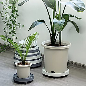 auons Plant Caddy with Wheels, Rolling Plant Stand with Casters Heavy Duty Plant Dolly, Plastic Plant Roller Base, Movable Planter Trolley for Heavy Duty Planter, Beige, 12.4in