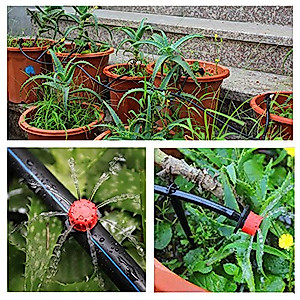 NUODITOS Gardening Watering System Tools Micro Drip Irrigation System Pressure Regulator Irrigation Garden Watering System 10 Or 15 Or 20PSI Both Ends Interface 3/4'' Female Thread (15 PSI)