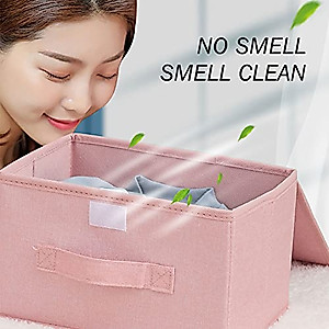 BICOY Foldable Storage Boxes with Lid 2PCS Cube Fabric Organizer Basket Home Bedroom Closet Office Storage Bins for Clothes, Toys, Sundries, Papers, Books Pink 9.8"x7.5"x5.9"