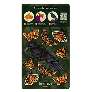 Freshcut Paper Pop Up Cards, Paper Flower Bouquet 3D Popup Greeting Cards with Note Card & Envelope, Birthday Card, Anniversary Card, Get Well Gifts for Women, 12" Moonlight Garden