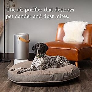 Molekule Air Pro | Air Purifier for Large Rooms up to 1000 sq. ft. w/PECO-HEPA Tri-Power Technology, for Allergens, Smoke, Mold, Bacteria, Viruses & Pollutants for Clean Air - Silver, Alexa-Compatible