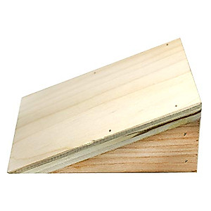 Wide Kicker/Bank Fingerboard Ramp - Handmade in USA - 5.5" Long, 2.25" Tall - Teak Tuning