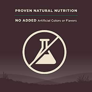 Wellness CORE Grain-Free High-Protein Dry Dog Food, Natural Ingredients, Made in USA with Real Meat, All Breeds, For Adult Dogs (Lamb, 22-Pound Bag)