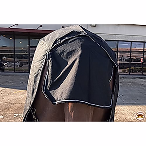 HILASON 1200D Turnout Light Winter Waterproof Rain Sheet Horse Sheet Black | Horse Sheet | Horse Turnout Sheet | Horse Sheets for Winter | Waterproof Turnout Sheets for Horses
