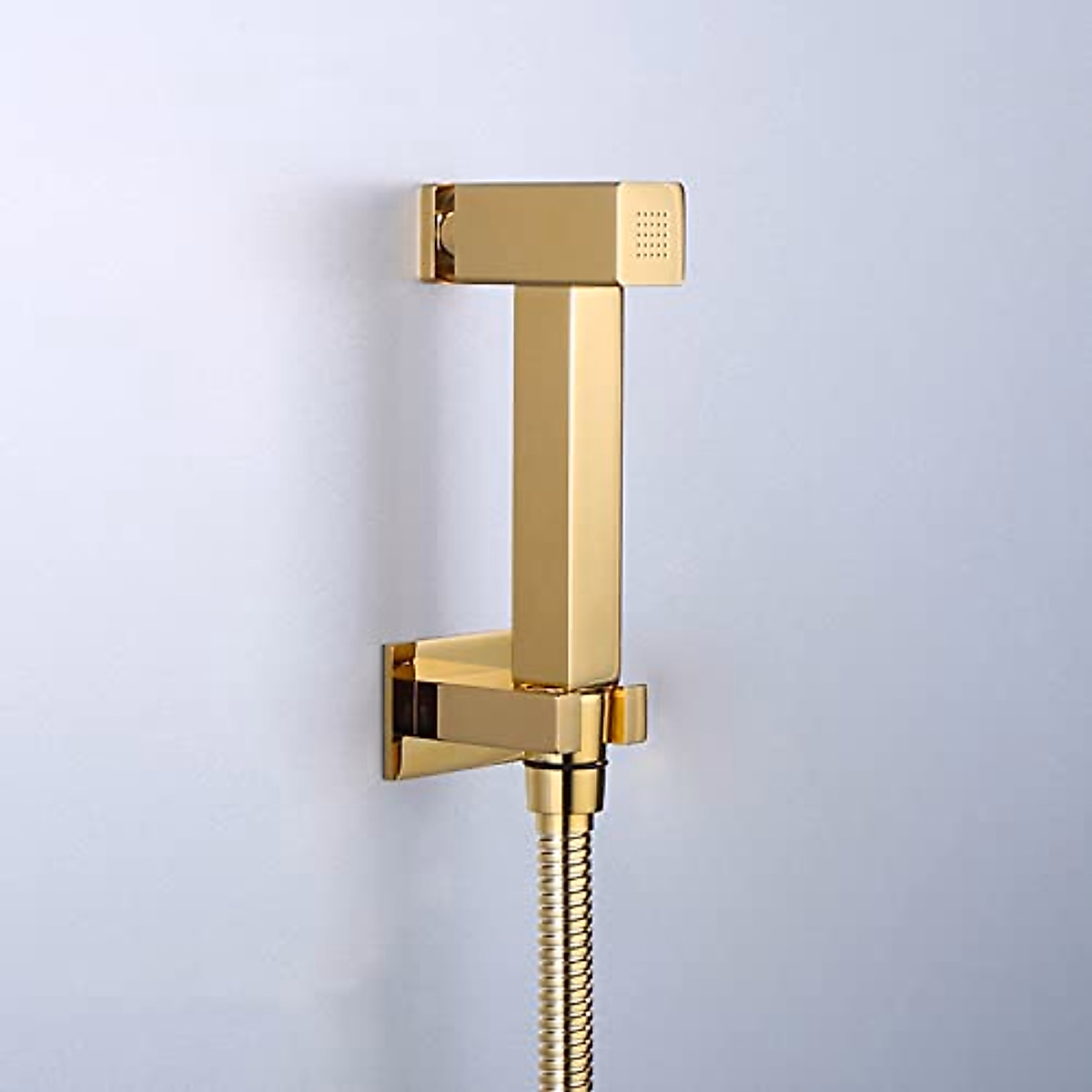 MINJING Handheld Bidet Sprayer Kit Gold Single Handle Bidet Tap Sprayer Wall Mounted Cold Water Sprayer with Button Toilet Bidet Douche Spray, Double Outlet