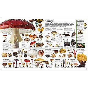 Picturepedia, Second Edition: An Encyclopedia on Every Page