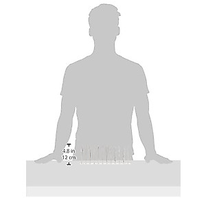 Bird-X Standard (STS-10-R) STAINLESS STEEL SPIKES-10, 10 feet
