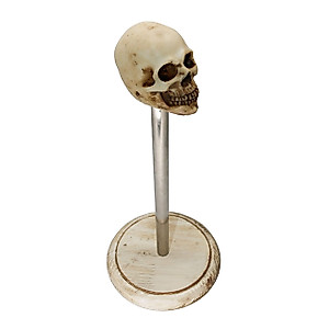 Rustic White Wood Skull Paper Towel Holder Stand Up Paper Towel Holder, Easy One-Handed Tear Kitchen Paper Towel Dispenser with Weighted Base for Standard Paper Towel Rolls ,Rustic White