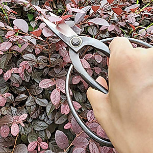 Gonicc 8" Professional SK-5 Steel Blade Anvil Pruning Shears(GPPS-1010) and 7.3" Bonsai Scissors(GPPS-1012), Cushion and shock absorber design, Ergonomically Design Handle.