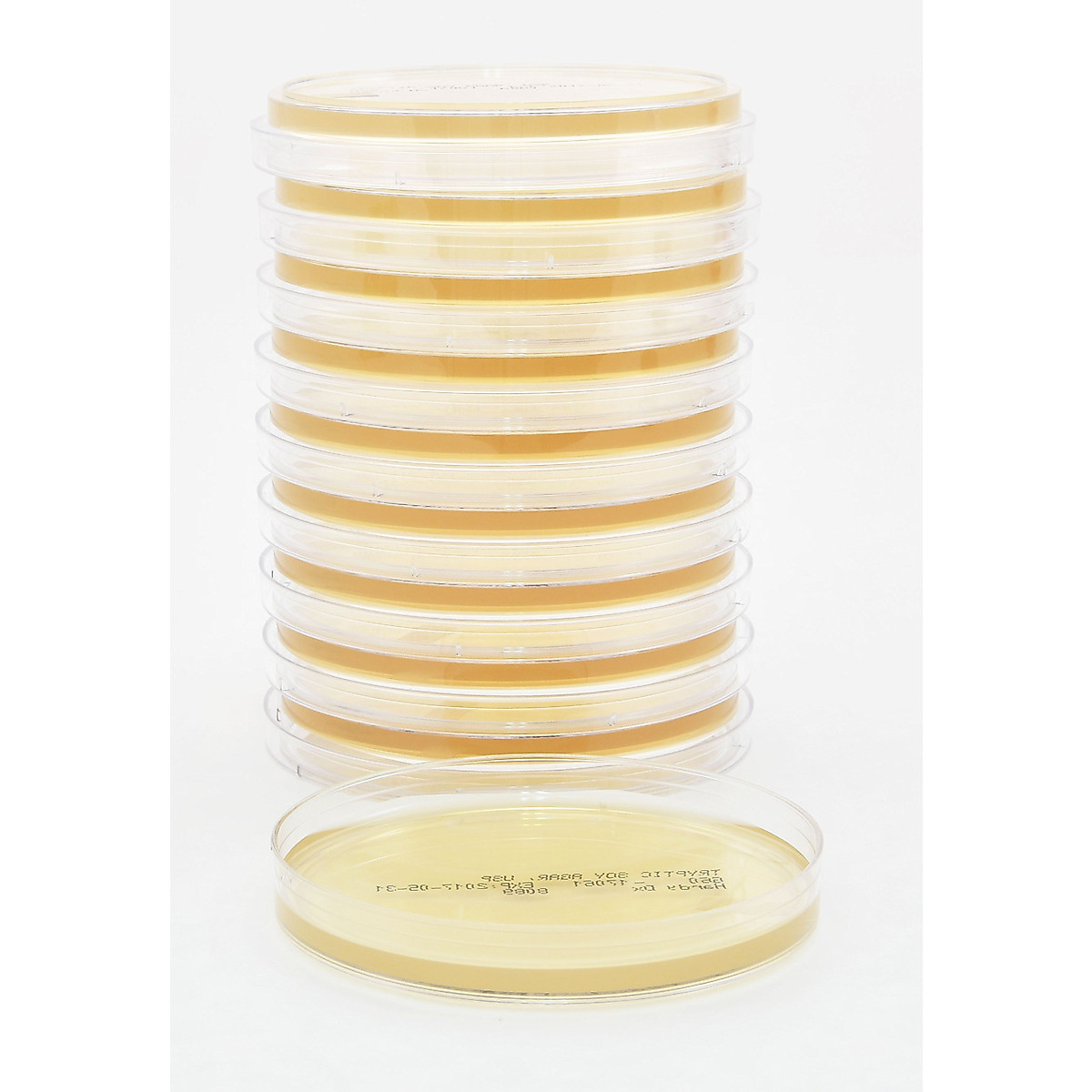 Tryptic Soy Agar (TSA), USP, a General Growth Medium for Microorganisms, 10 Plates Per Pack, by Hardy Diagnostics