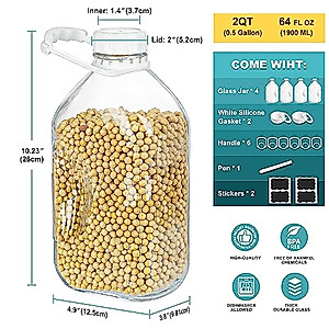 4 Pack 64 Oz Heavy Duty Glass Milk Bottle with Reusable Airtight SCREW LID, 2 Qt Glass Water Bottle with 2 Exact Scale Lines - Glass Milk Jug Pitcher - 1/2 Gal Juice Bottles(Extra 2 Lid AND 6 Handle)