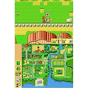 Harvest Moon DS Cute (Renewed)