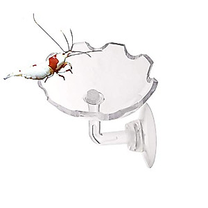 JZMYXA Shrimp Feeding Dish Shrimp Feed Dish, High Transparent Acrylic Material