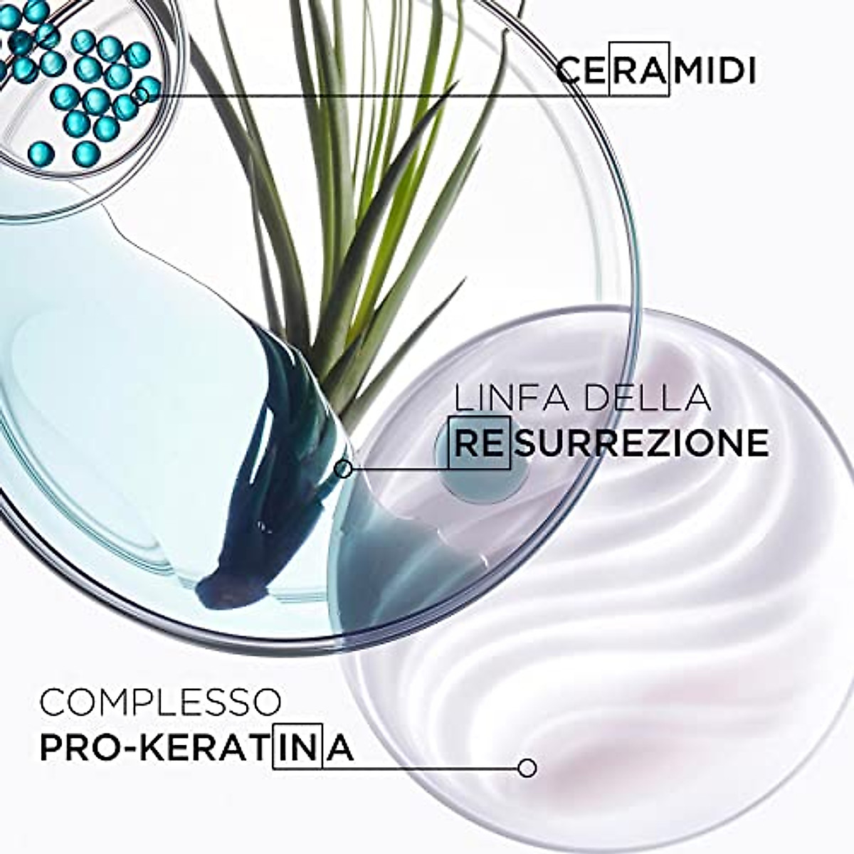 Kerastase Resistance Masque Force Architecte Hair Mask | Reconstructing Hair Mask | Strengthens Hair and Prevents Breakage | With Ceramides and Pro-Keratine Complex | For Dry & Damaged Hair | 6.8 Fl Oz