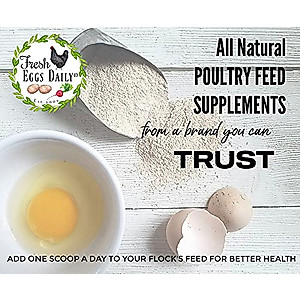 Fresh Eggs Daily Brewer's Yeast with Garlic Powder and Niacin for Ducks Feed Supplement Vitamins for Backyard Chickens 1LB