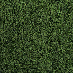 NoTrax, Green Rubber-Backed Natural Coir Doormat, Entry Mat for Indoor or Outdoor Use, 18"x30", C04 (C04S1830GN)