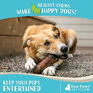 Raw Paws Smoked Beef Marrow Bones for Dogs - 6 inch, 4-ct - Packed in USA - Beef Bones for Dogs - Free Range Bone Marrow Treats for Dogs - Dog Chew Bones for Aggressive Chewers, Dog Marrow Bone Treats