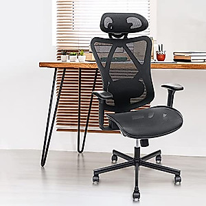 Mesh Office Chair, Ergonomic Office Chair with Adjustable Lumbar Support, Armrest, Headrest - Tilt High Back Desk Chair with Mute Wheel for Office, Home, Gaming