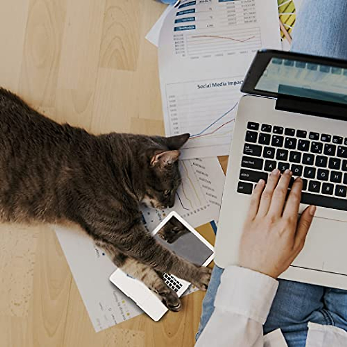 ebuddy Mini Dollhouse Toy Cat Laptop Tiny Fake Computer Mirror for Cat (White)