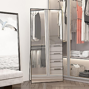 CASSILANDO Full-Length Mirror 65“ × 24 ", Floor Standing, Unique Vertical, Black Metal Frame Mirror, Over The Wall Hanging for Living Room Bedroom Entrance Bathroom