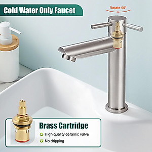 Heyalan Cold Water Only Bathroom Sink Faucet Stainless Steel SUS304 Brushed Nickel Single Handle One Hole Deck Mount Lavatory Faucet (Drain Not Included)