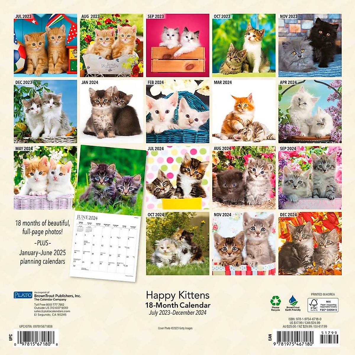 Happy Kittens | 2024 12 x 24 Inch 18 Months Monthly Square Wall Calendar | Foil Stamped Cover | July 2023 - December 2024 | Plato | Animals Cats Feline