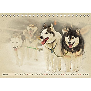 Schlittenhunde 2019 (Tischkalender 2019 DIN A5 quer): Der Kalender ist im kunstvollen Aquarell-Stil gehalten, so dass jedes einzelne Bild einem kleinen Kunstwerk gleicht. (Monatskalender, 14 Seiten )