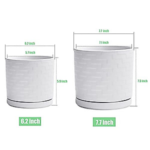 Tagobar Planter Plant Pot - 6 Inch Indoor Pots for Plant Lines Pattern Ceramic White Flower Pot with Drainage Holes & Tray (Plant Not Incolued)