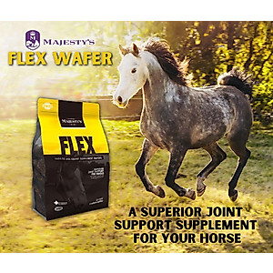 Majesty's Flex Wafers - Superior Horse/Equine Joint Support Supplement - Glucosamine, MSM, Chondroitin, Yucca, Vitamin C (Regular, 2 Pack (120 Count Total))