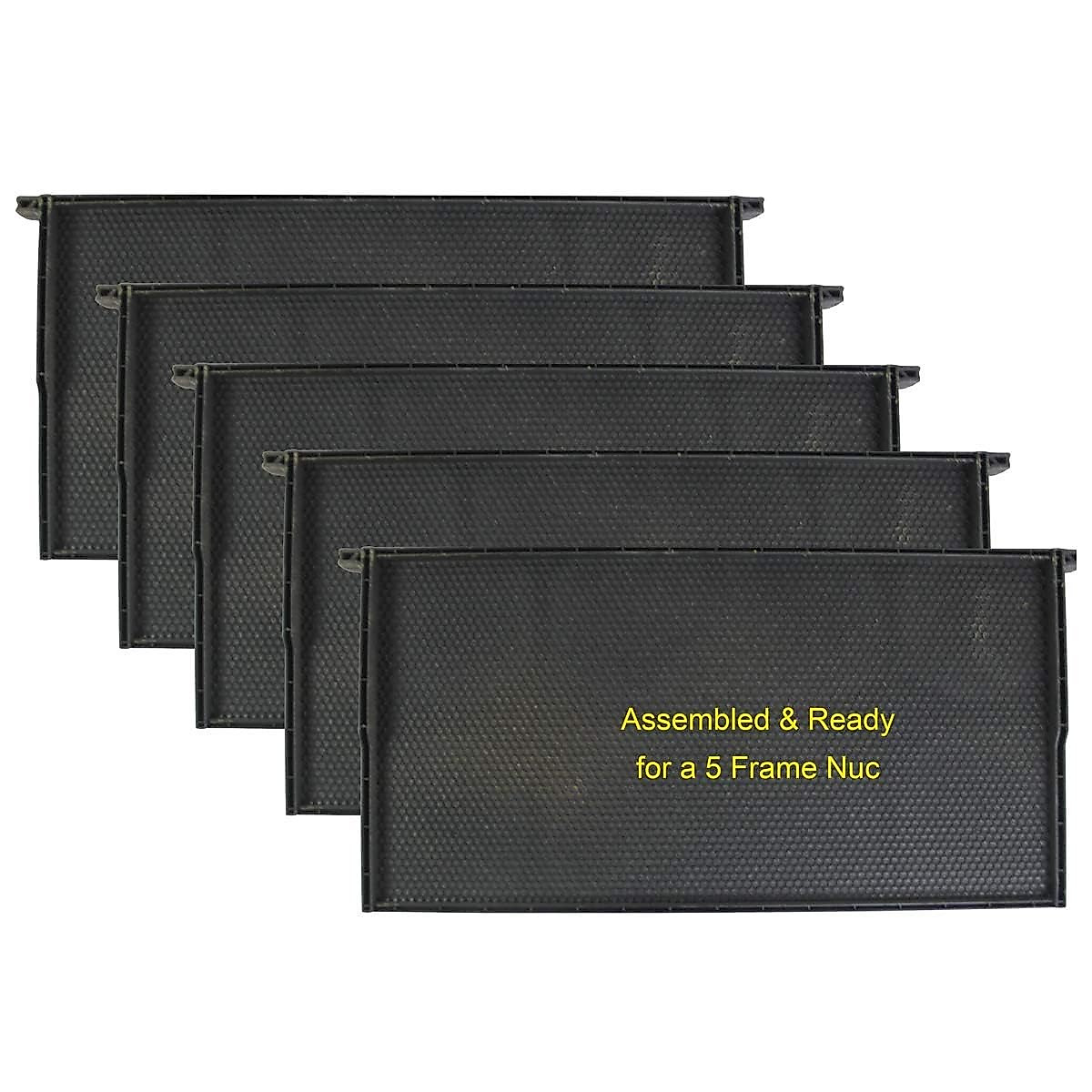 Hoover Hives 10 Frame Langstroth Beehive Dipped in 100% Beeswax Starter Kit (1 Deep Box& Accessories)