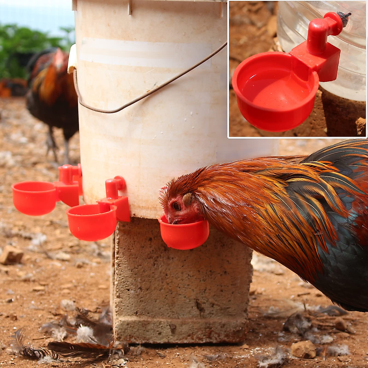 Chicken Water Cups, 6pcs Automatic Chicken Water Feeder, Poultry Waterer Kit Suitable for Chicks, Duck, Goose, Turkey and Bunny, 6-Pack