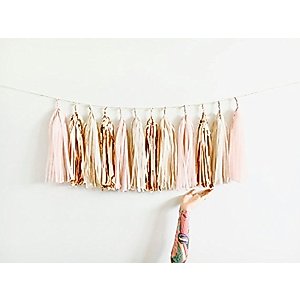 Blush,Rose Gold,Nude Shimmer Tassel Garland, 15 Tassels and 2m Jute Twine-Baby Shower,Blush Wedding Decor,Party,Chair Banner