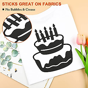 CAREGY Iron on Vinyl Heat Transfer Vinyl Roll HTV (12''x9',Black)