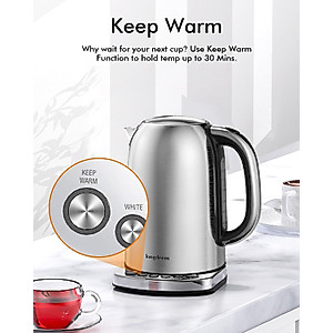 Longdeem Temp Control Electric Tea Kettle, 1.7L Stainless Steel Water Boiler & Heater, Fast Boiling 1500 Watts, Cordless Kettle with Auto-Shutoff, Boil-Dry Protection, LED Light, Silver