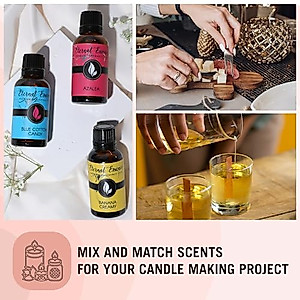 Cookies & Cakes - Gift Set of 6 Premium Fragrance Oils - Caramel Nut Muffin, Oatmeal Cookie Dough, Malibu Rum Cupcakes, Maple Pecan, Snickerdoodle and Cinnabon - 10ML