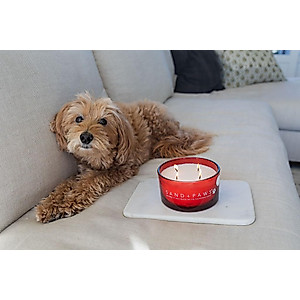 Sand + Paws Scented Candle - Frazier Fir – Additional Scents and Sizes – 100% Cotton Lead-Free Wick - Luxury Air Freshening Jar Candles - Perfect Home Decor – 23oz