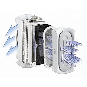 Nispira Air Filter Replacement Compatible with Hamilton Beach TrueAir Ultra Quiet True Air Purifier 04386A, 04383 04385 04384 990051000, 2 Packs