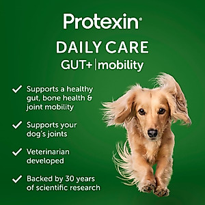 Protexin Daily Care Gut+ Mobility, 60 postbiotic Dog Supplement Chews – Chicken and Bacon Flavored