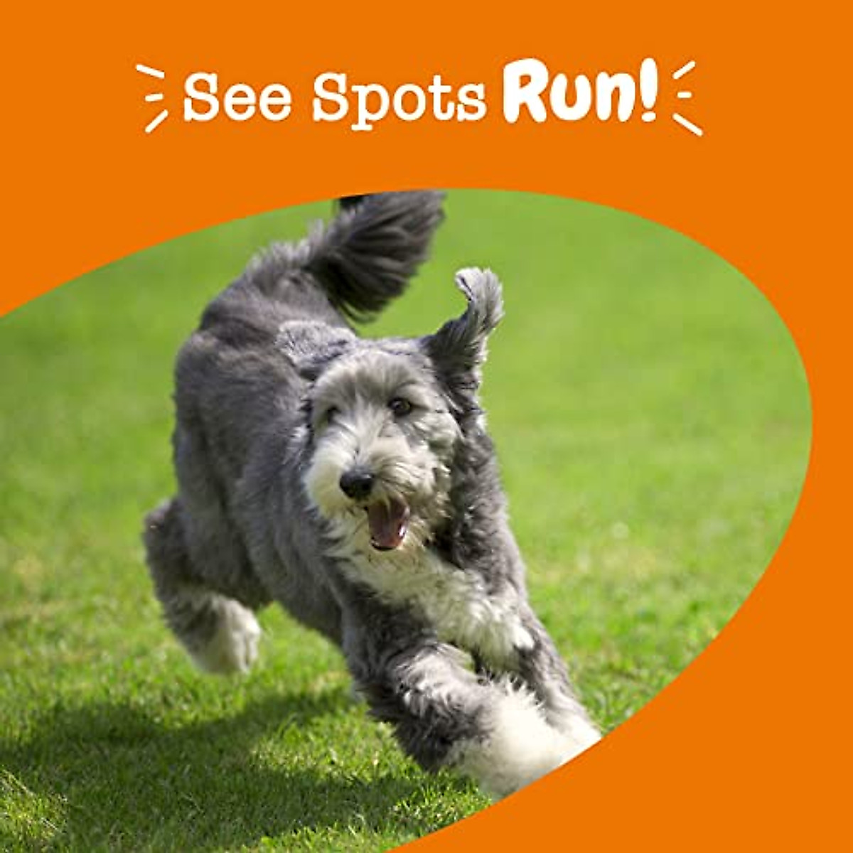 Zesty Paws Stay Green Bites for Dogs - Grass Burn Soft Chews for Lawn Spots Caused by Dog Urine - Cran-Max Cranberry for Urinary Tract & Bladder - with Apple Cider Vinegar + Digestive Enzymes - 90ct