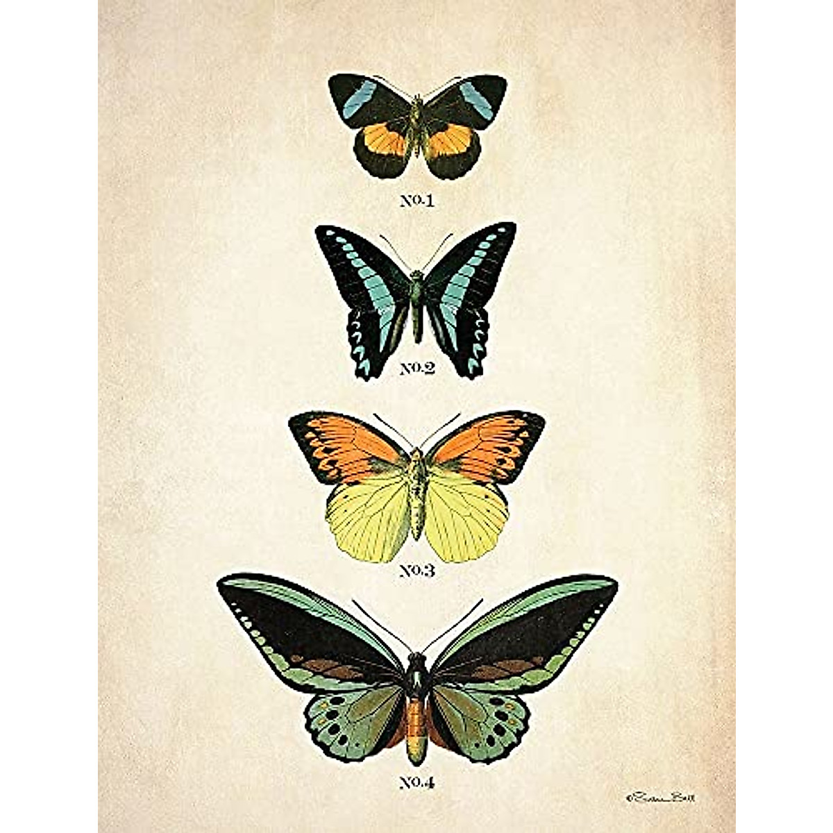 Posterazzi PDXSB888SMALL Artwork, Medium, Multi