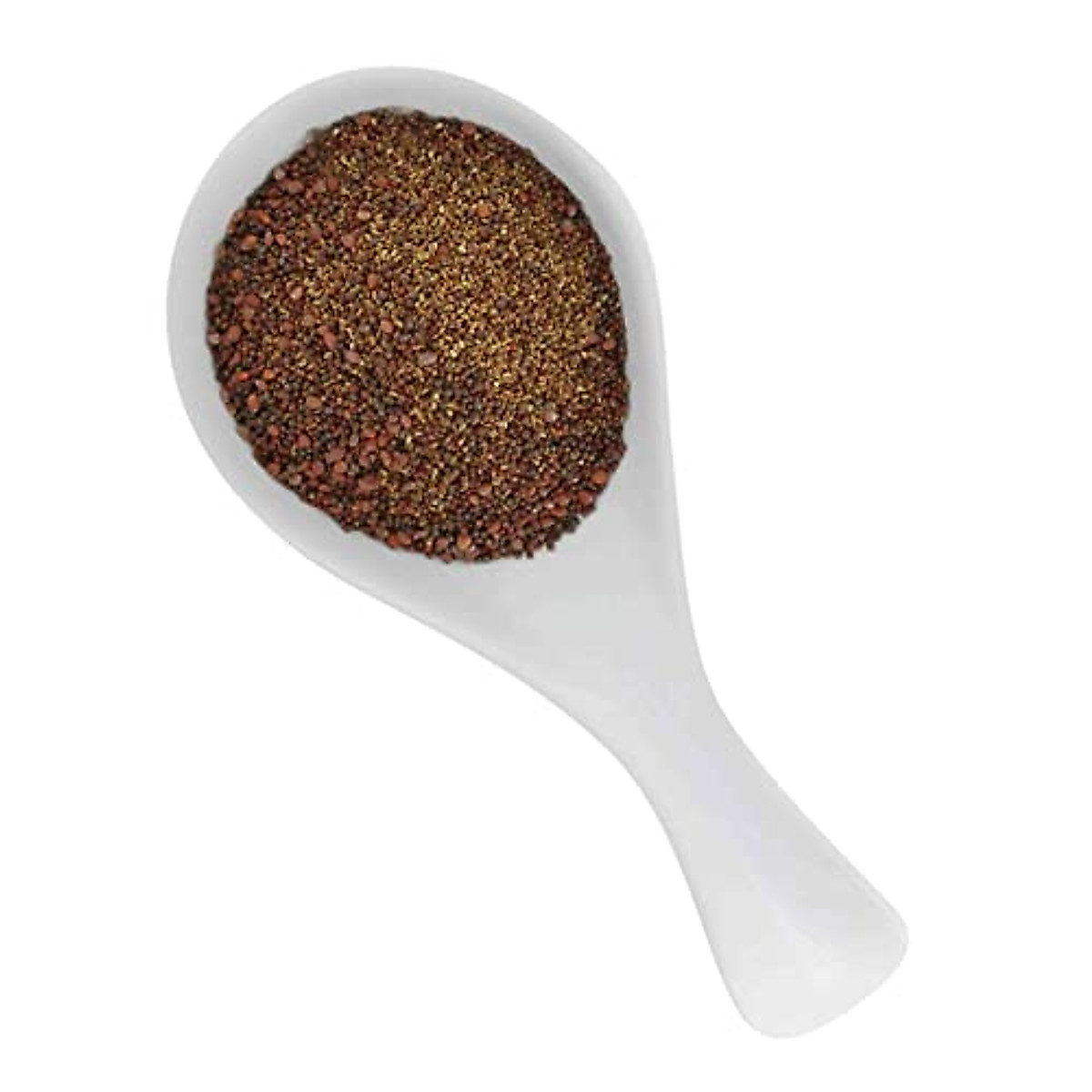 Todd's Seeds Broccoli and Friends Sprouting Seed Mix: Broccoli, Crimson Clover, Red Radish, Alfalfa, Non-GMO, Chemical Free, High Germination (1/4 Pound)