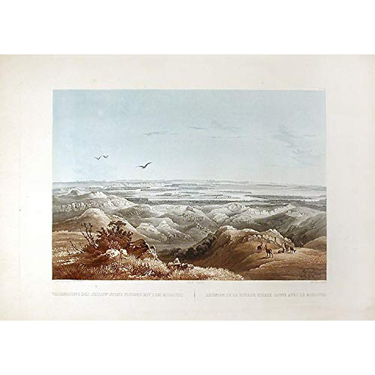 [Junction of the Yellow-Stone River with the Missouri