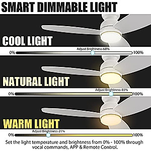 Ceiling Fan with Lights, Indoor & Outdoor,48in Low Profile DC Smart Ceiling Fan Compatible with Alexa, Siri, Google Home & Smart APP, 2 Colors of Reversible Blades, White Gold