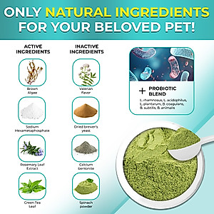 Dental Cleaning Powder ✿ Plaque Off Powder Dog ✿ Dog Teeth Cleaning Powder ✿ Plaque Remover for Teeth Dog ✿ Dog Dental Powder ✿ Dental Powder for Dogs Teeth ✿ Dog Tartar Remover for Teeth ✿ 100 G