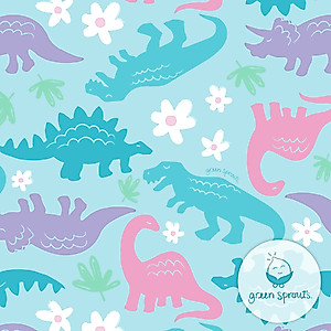 i Play Girls Reusable Absorbent Baby Swim Diapers Aqua Dinosaurs 3T