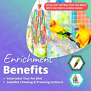 Super Bird Creations SB708 Wind Chimes Bird Toy, Medium Bird Size, 13” x 2”